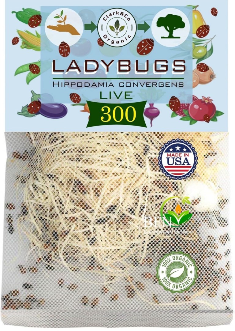 Amazon Plant Care Finds – The Engineered Mama